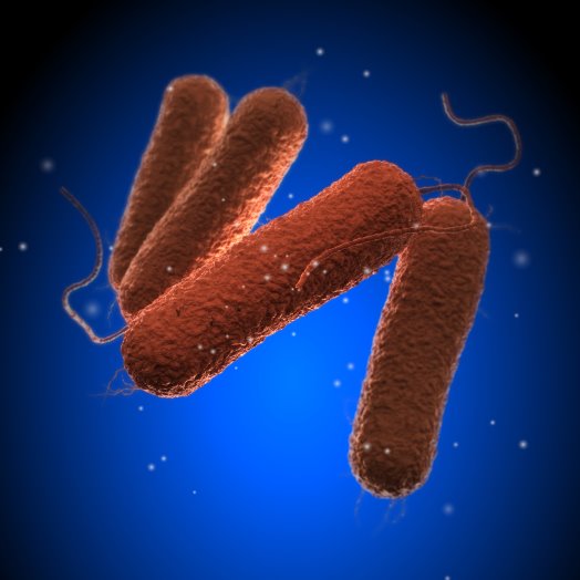 PigProgress - Bacteria and antimicrobials – a concise compendium PigProgress - Bacteria and antimicrobials – a concise compendium