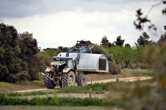 Organic pig farming with rapid field rotation - Pig Progress